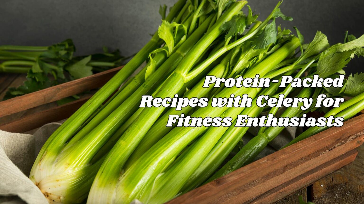 Protein-Packed Recipes with Celery for Fitness Enthusiasts