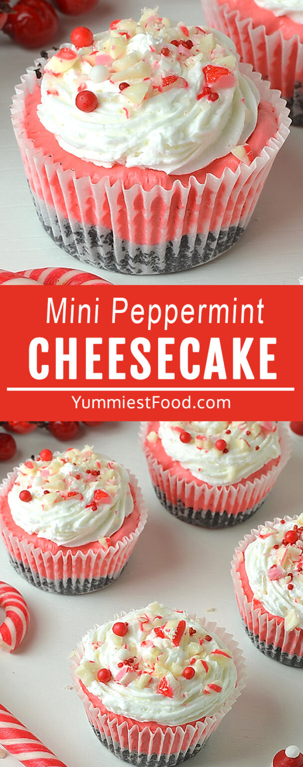 Mini Peppermint Cheesecakes – A Perfect No-Bake Holiday Treat